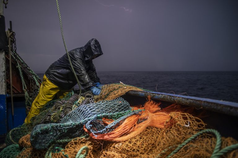 Perché la pesca a strascico causa emissioni di CO2 come il trasporto ...