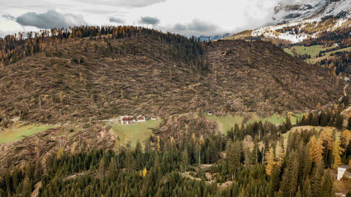 Un anno da Vaia. Cosa è stato fatto e cosa rimane ancora da fare | LifeGate
