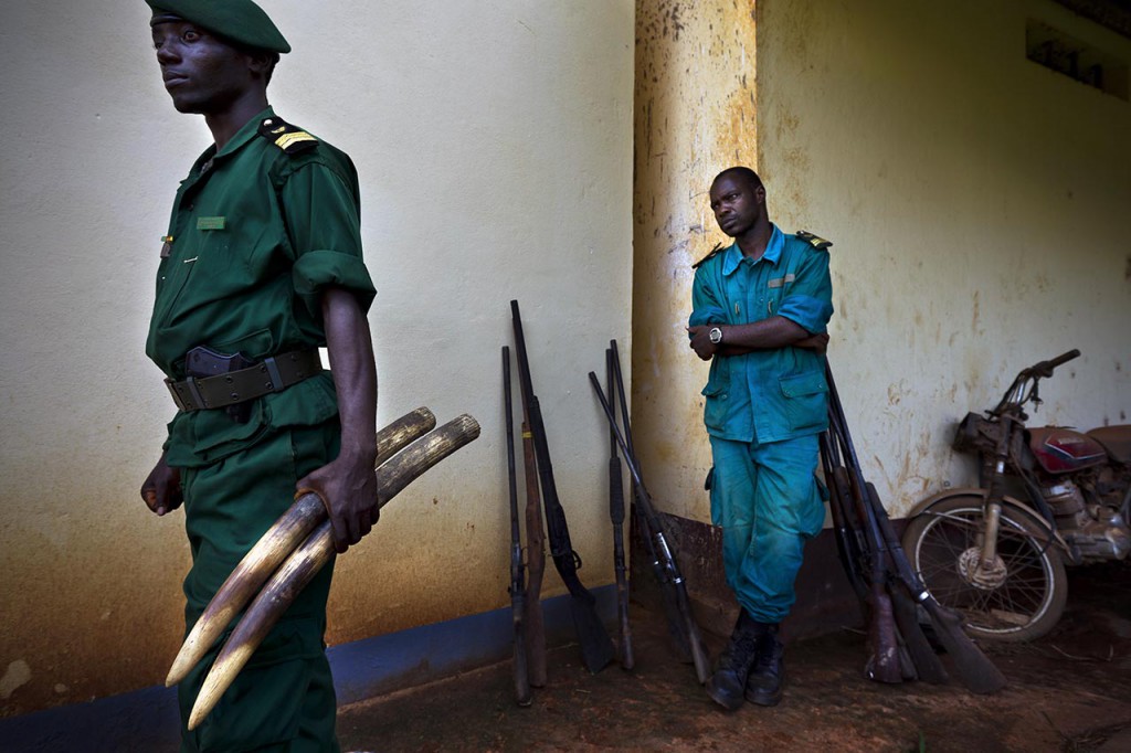 La Cina dona 50 fuoristrada alla Tanzania per la lotta al bracconaggio La Cina dona 50 fuoristrada alla Tanzania per la lotta al bracconaggio
