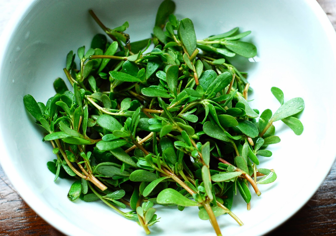 Erbe selvatiche in cucina, proprietà e uso | LifeGate