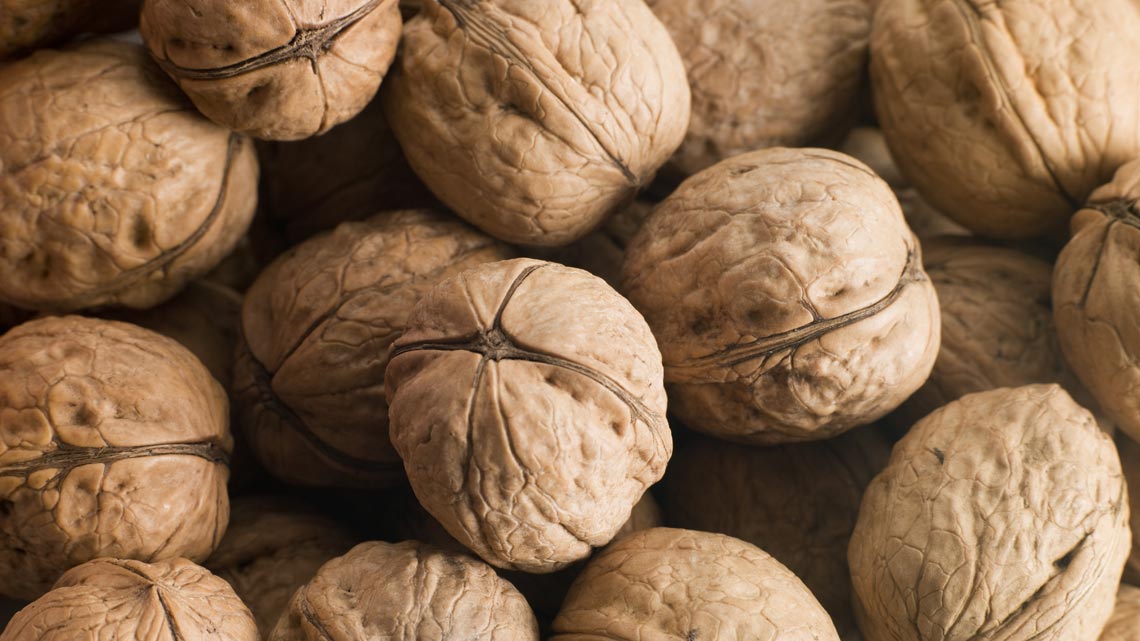 Noci: valori nutrizionali, benefici e ricette - LifeGate