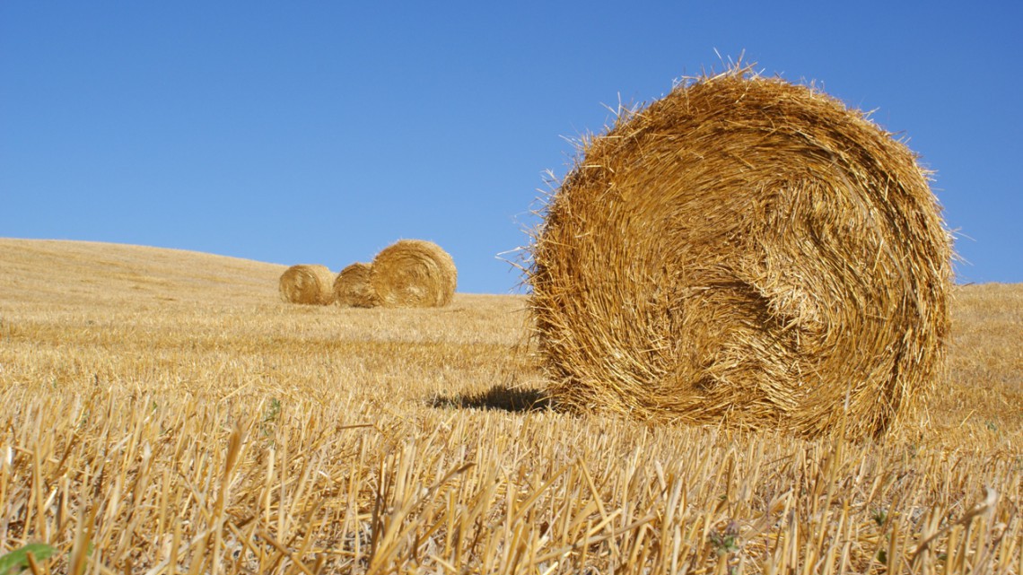 La casa di paglia italiana sbarca a Ibiza | LifeGate