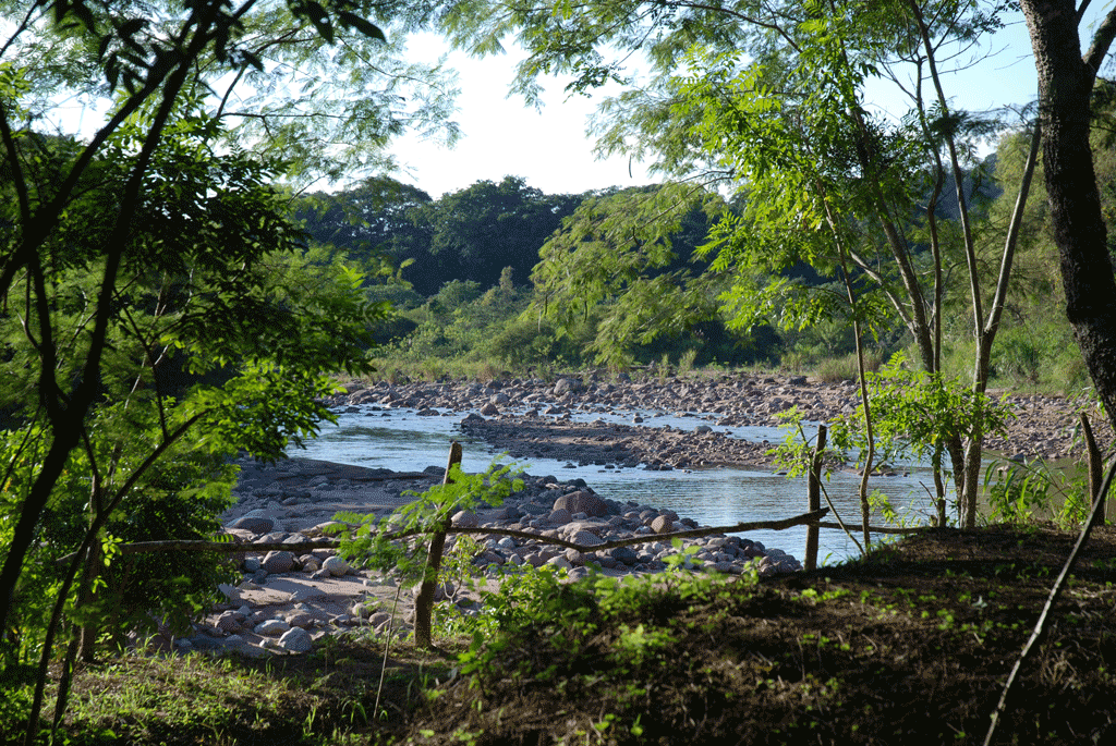 Riserva El Pantanoso in Argentina | LifeGate